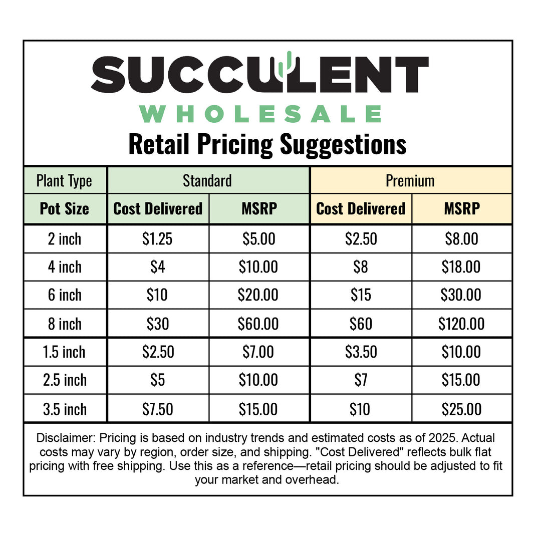 Succulents – Succulent Wholesale